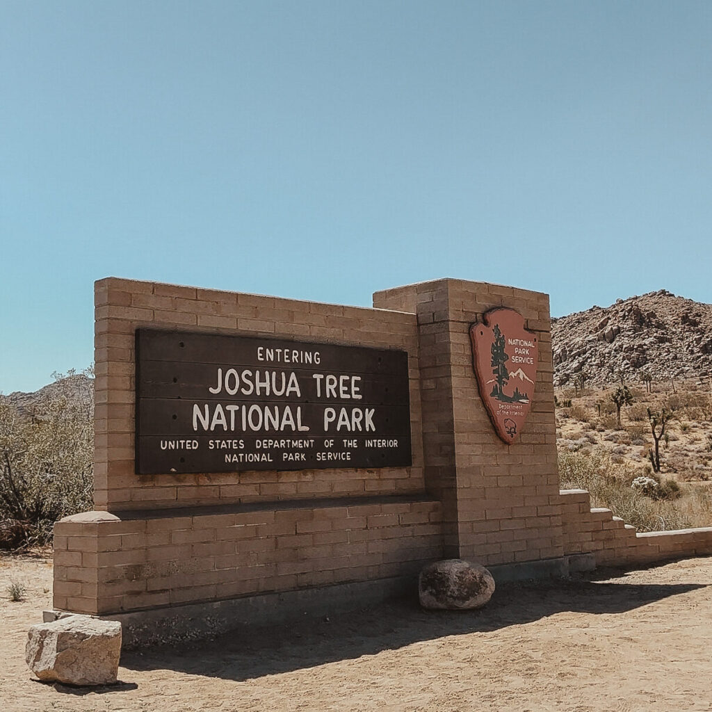 Joshua Tree Itinerary and Photography - katewaldiscreative.com